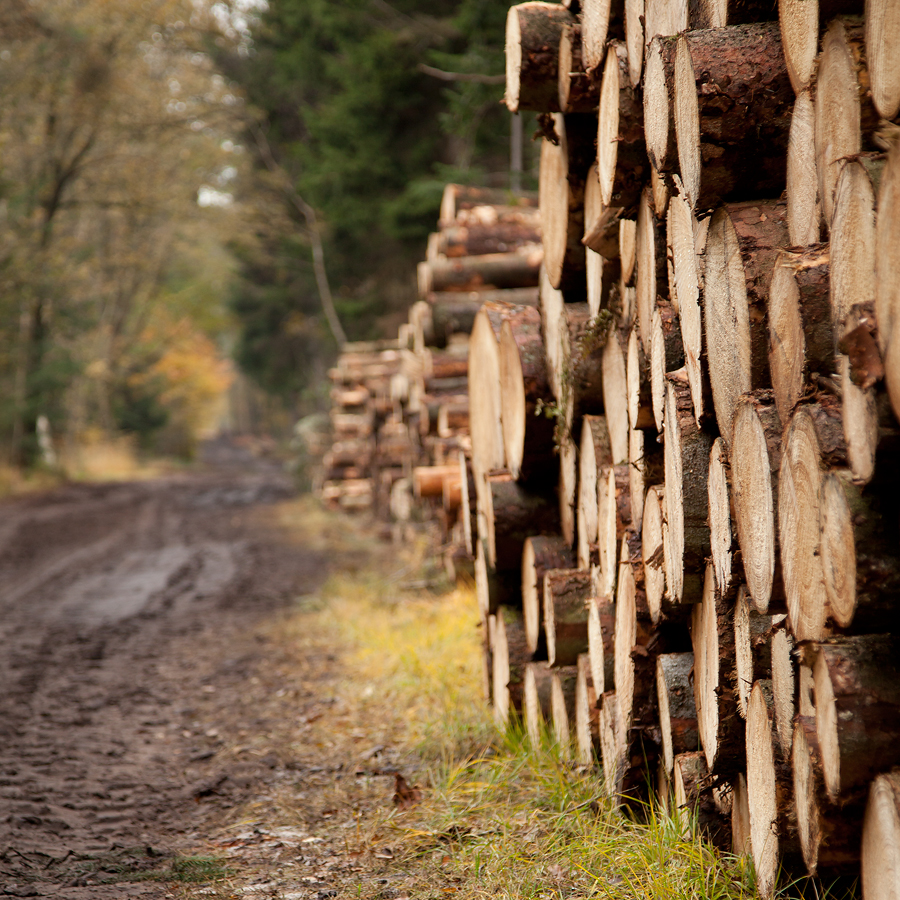 Meer bouwen in FSC-hout? Doe maar! | Forest Stewardship Council