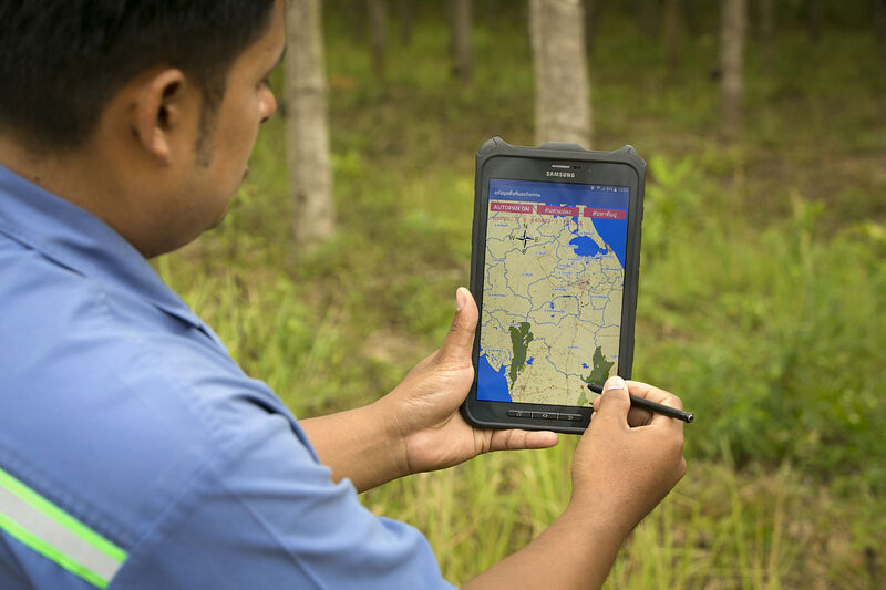 Ontdek FSC Blockchain: webinar reeks | Forest Stewardship Council