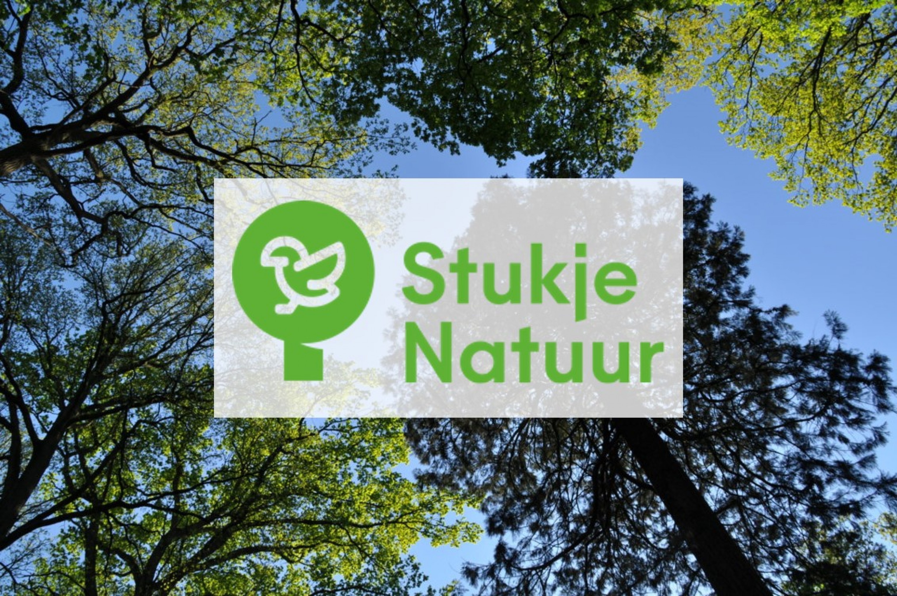 Kwaliteitsimpuls Nederlands bos door samenwerking Unie van Bosgroepen ...